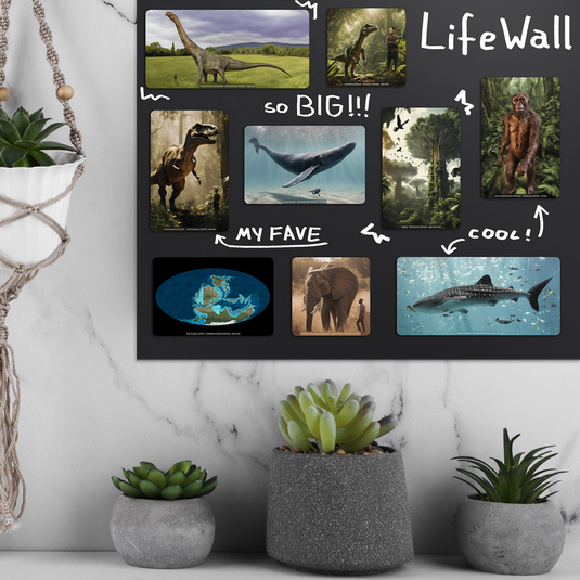 Creating an Indoor Magnetic Wall: Easy DIY Guide for Home Decor – MUSÉEWALL